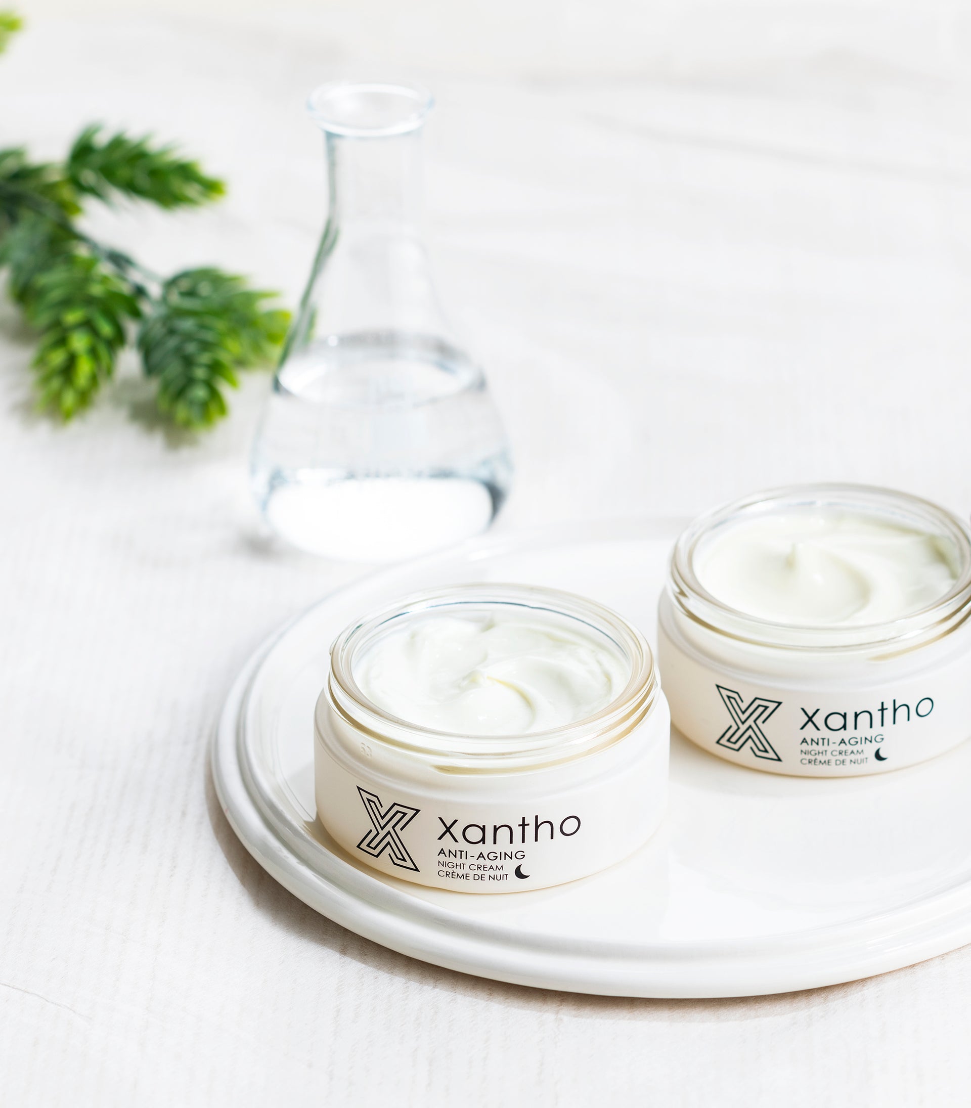 Xantho Online Shop – Xantho Store BE